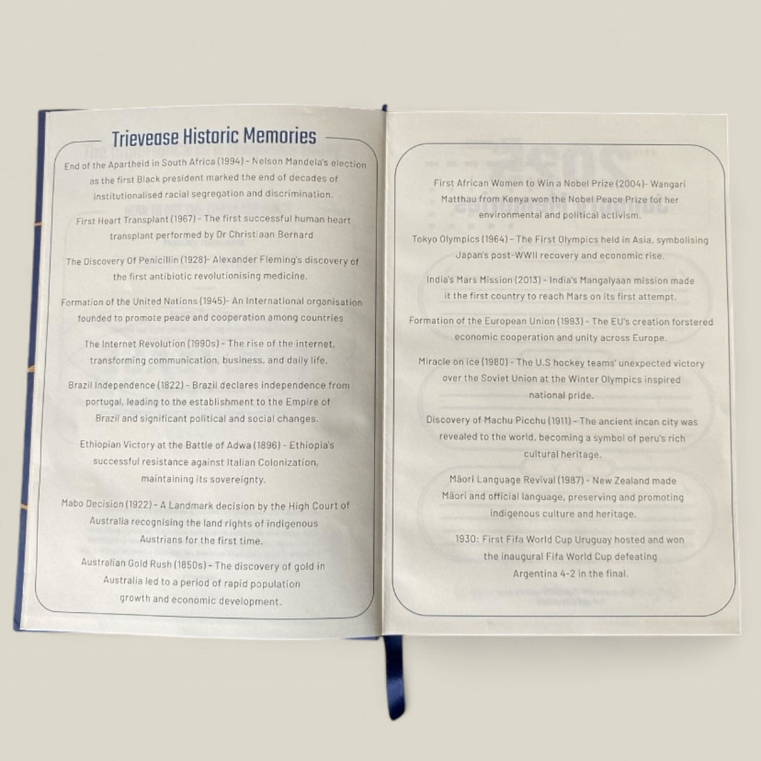 Trievease | 10-Year Memories Diary for Meaningful Reflection